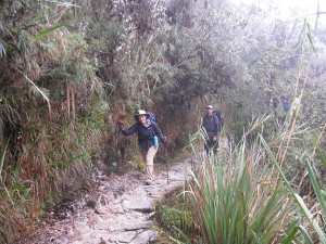 Inca Trail Part 2: to the Cloud Forest - Nowtopian
