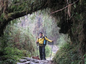 Inca Trail Part 2: to the Cloud Forest - Nowtopian