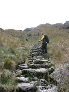 Inca Trail Part 2: to the Cloud Forest - Nowtopian