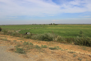 California Water and the Lack Thereof - Nowtopian