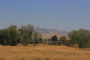 California Water and the Lack Thereof - Nowtopian